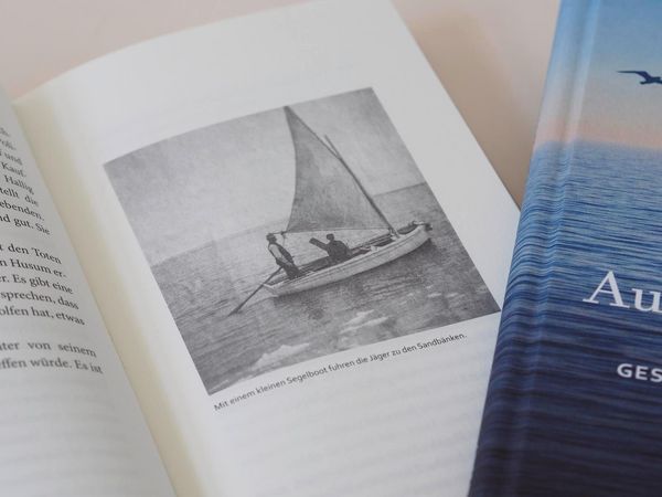 "Auf hoher See" online kaufen