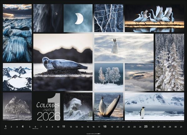 "Colours of Nature Kalender 2026" kaufen