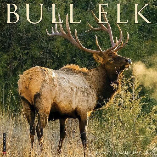 "Bull Elk 2026 Wall Calendar" kaufen