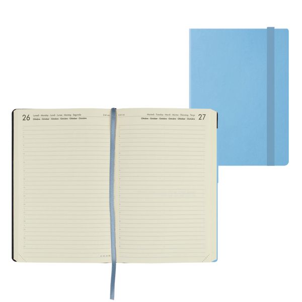 'Medium Daily Diary 12 Month 2023 - Sky Blue' - 'Bücher'