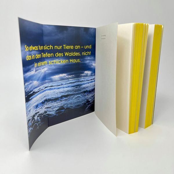 'Nur du und ich' von 'Laure Van Rensburg' - Buch - '978-3-86493-179-6'