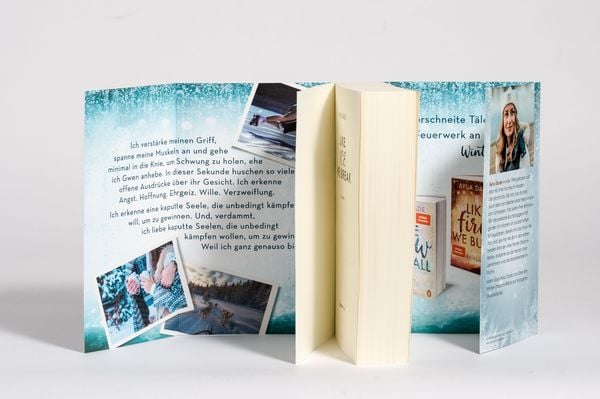 "Like Ice We Break" online kaufen