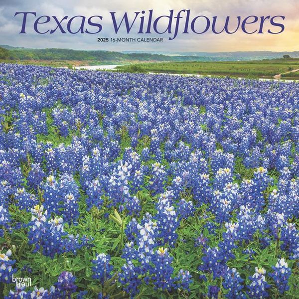 "Texas Wildflowers 2025 12 X 24 Inch Monthly Square Wall Calendar ...