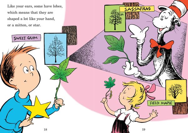 'I Can Name 50 Trees Today' - 'Englisch' Schulbuch - '978-0-00-743307-0'