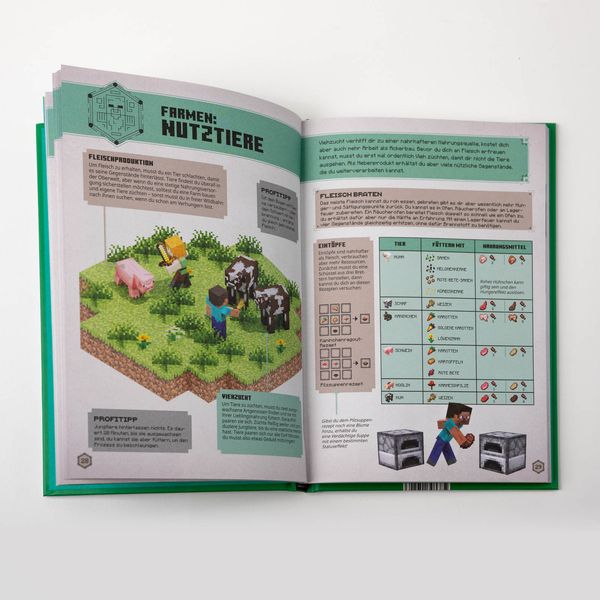 "Minecraft - Das Survival-Handbuch" online kaufen