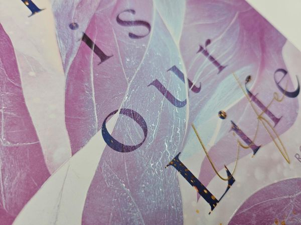 'This is Our Life' von 'Kathinka Engel' - Buch - '978-3-492-06412-5'