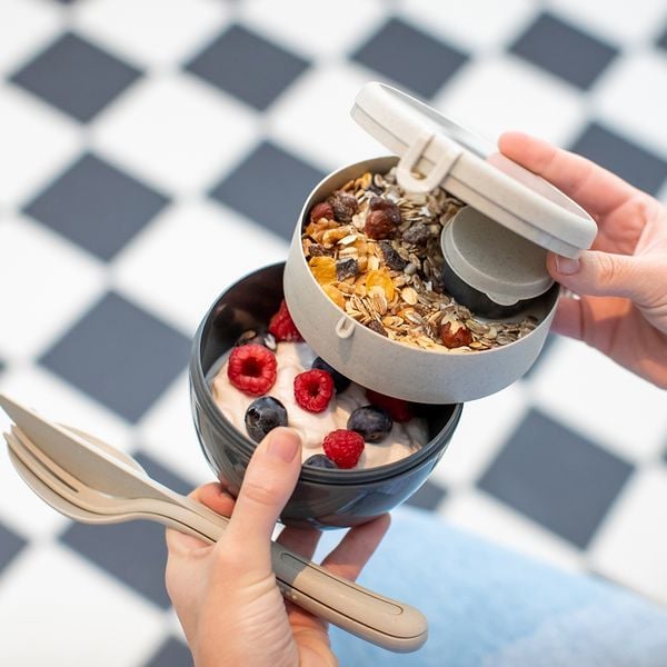 Koziol Bentobox M online bestellen | Thalia