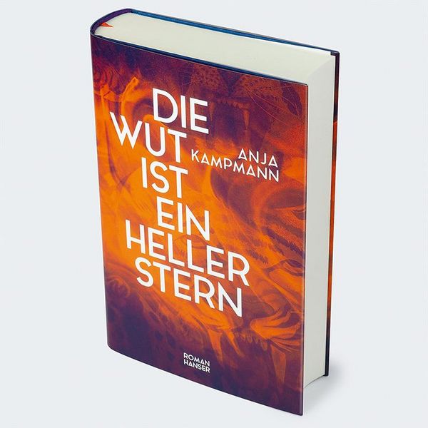 "Die Wut ist ein heller Stern" online kaufen