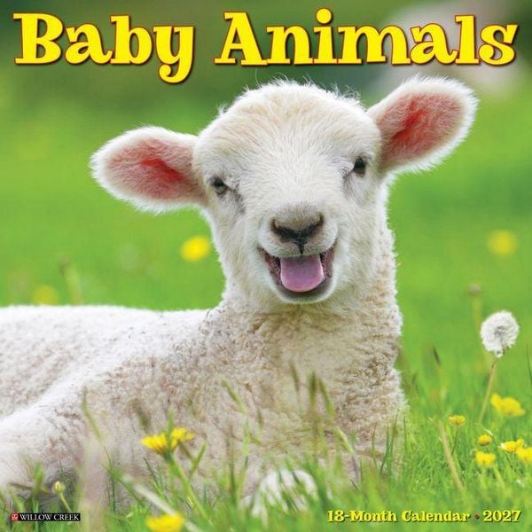 "Baby Animals 2027 12 X 12 Wall Calendar" kaufen