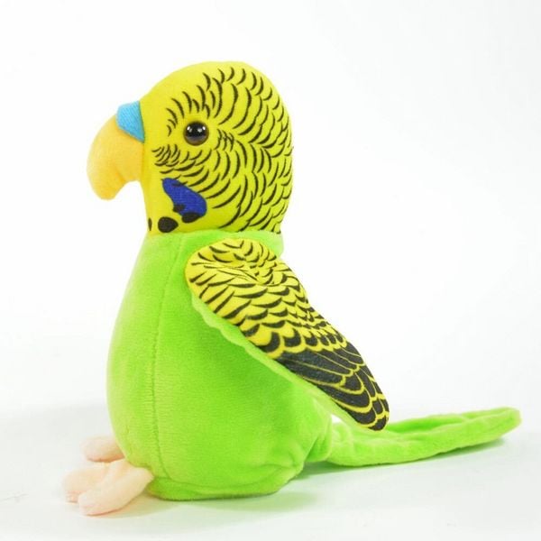 Laber Wellensittich, grün kaufen