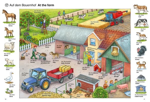 "Mein erstes Englisch Bildwörterbuch mit Audio-Download" online kaufen