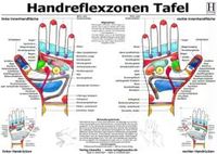 'Handreflexzonen Tafel - A3 (laminiert)' von '' - Buch - '978-3-939378 ...