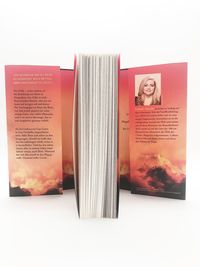 'Too Late – Wenn Nein sagen zur tödlichen Gefahr wird' von 'Colleen ...