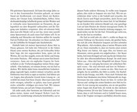 'Die Weisheit der Esel' von 'Andy Merrifield' - Buch - '978-3-485-02980-3'