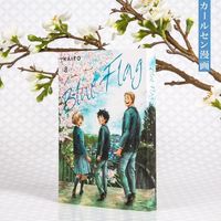 'Blue Flag 8' von 'Kaito' - Buch - '978-3-551-71068-0'