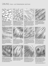 'Die Kunst des Zeichnens - Natur' von 'Frechverlag' - Buch - '978-3-7724-4753-2'