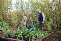 'Der Engländer, der in den Bus stieg und bis ans Ende der Welt fuhr ...
