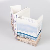 'Ran und die graue Welt 7' von 'Aki Irie' - Buch - '978-3-551-02369-8'