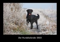 'Der Hundekalender 2023 Fotokalender DIN A5' - 'Bücher'