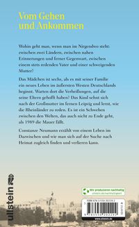 'Das Jahr ohne Sommer' von 'Constanze Neumann' - Buch - '978-3-550-20229-2'