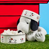 'Snoopy Hundenapf „Supper Time online bestellen