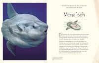 'Wundervolle Welt. Wasser' von 'Sam Hume' - Buch - '978-3-8310-4588-4'