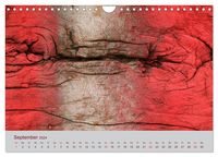 'FARBauftrag (Wandkalender 2024 DIN A4 quer), CALVENDO Monatskalender' - 'Wandkalender'