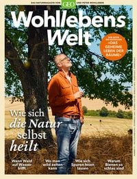 'Wohllebens Welt / Wohllebens Welt 16/2022 - Wo wir jetzt Kraft und ...