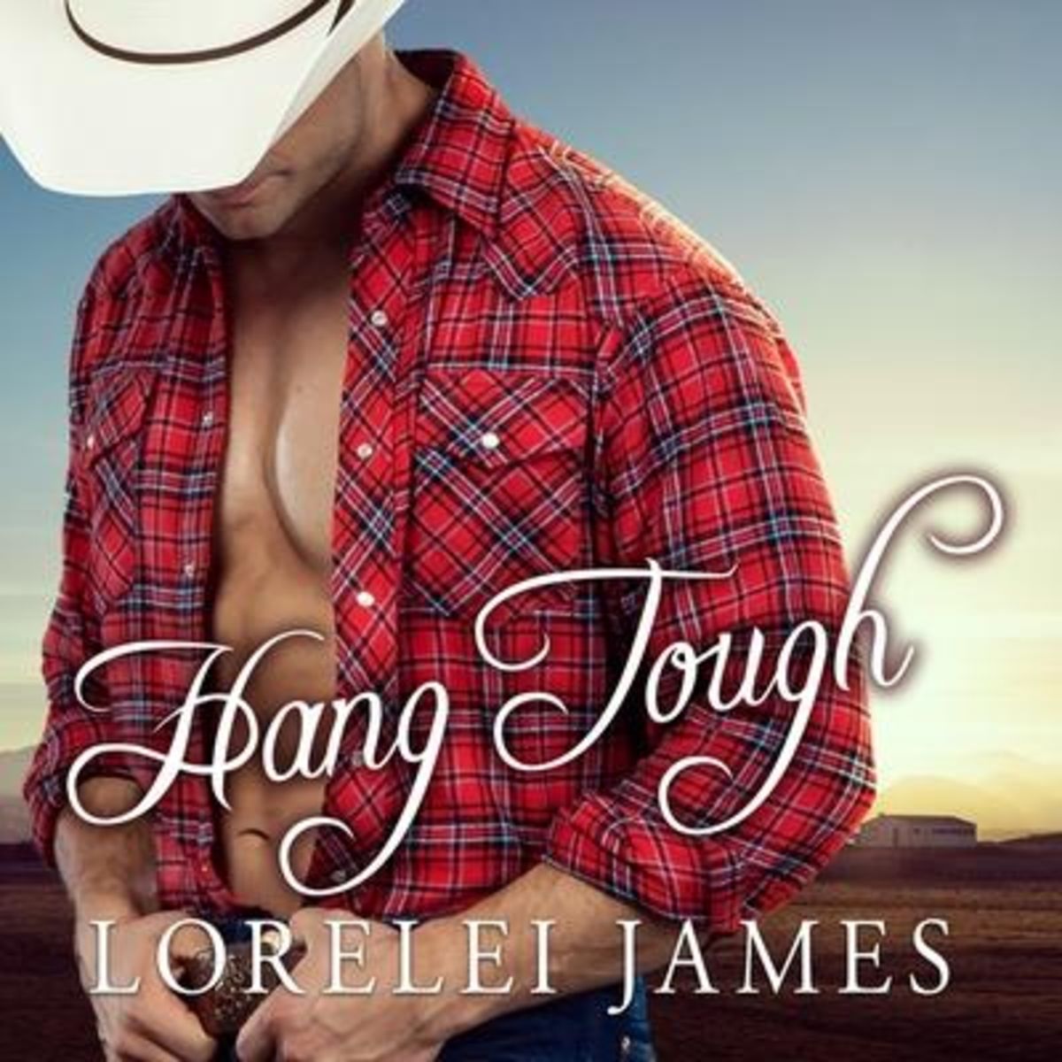 'Hang Tough' von 'Lorelei James' - Hörbuch