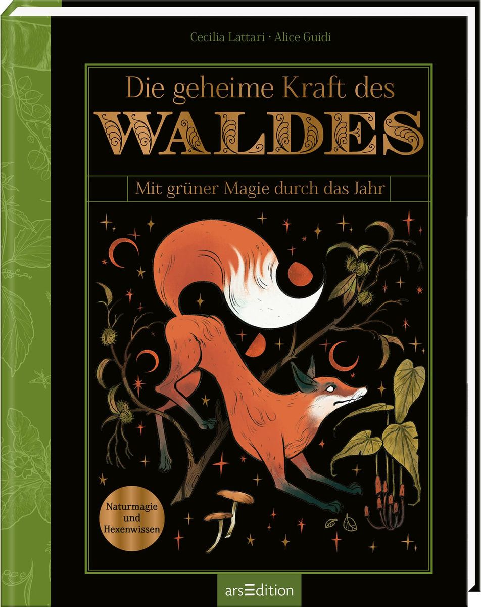 'Die geheime Kraft des Waldes' von 'Cecilia Lattari' - Buch - '978-3 ...