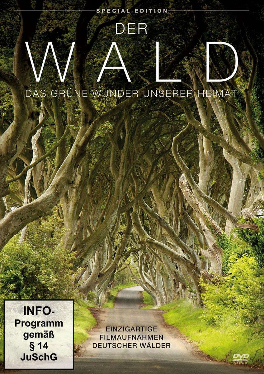 Der Wald - Das grüne Wunder unserer Heimat - DVD | Thalia