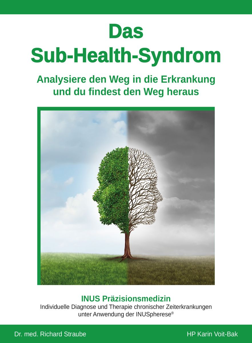 "Das Sub-Health-Syndrom" online kaufen