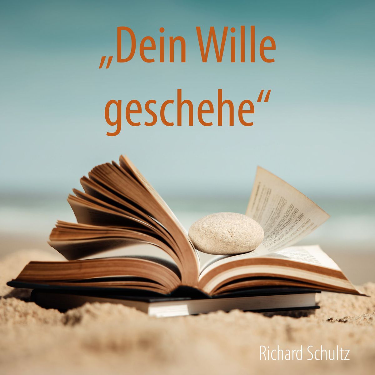 'Dein Wille geschehe' von 'Richard Schultz' - Hörbuch-Download