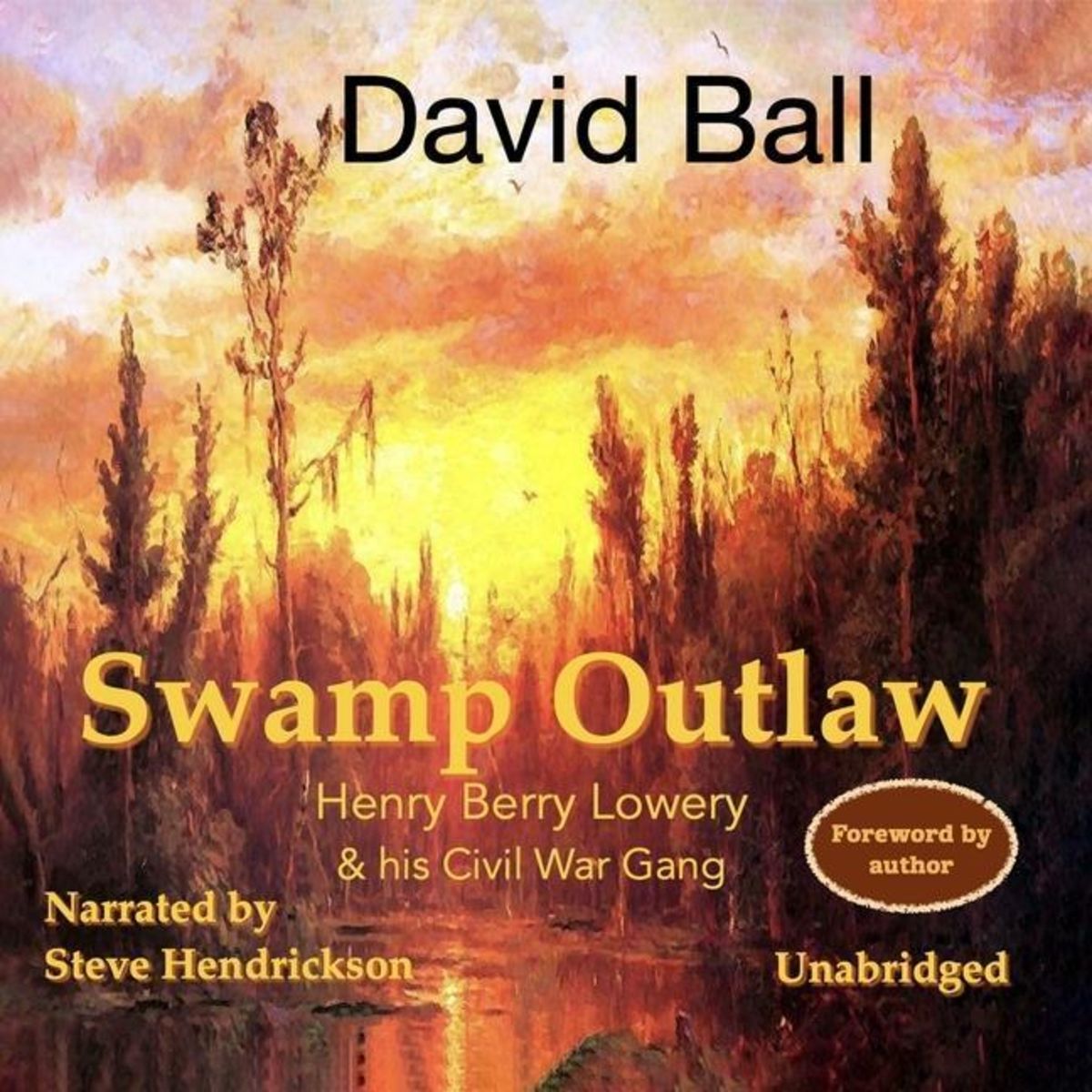 'Swamp Outlaw: Henry Berry Lowery and His Civil War Gang' von 'David ...