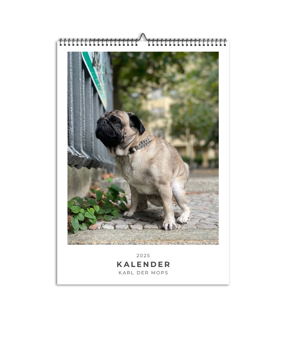 Karl der Mops - Hunde | Thalia