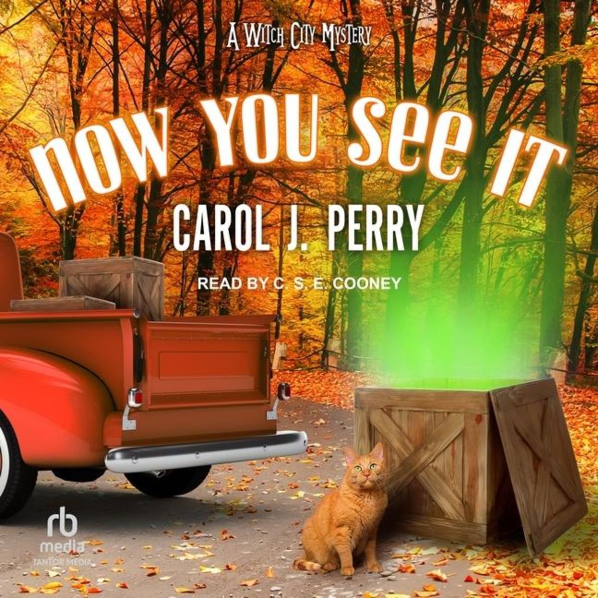 'Now You See It' von 'Carol J. Perry' - Hörbuch