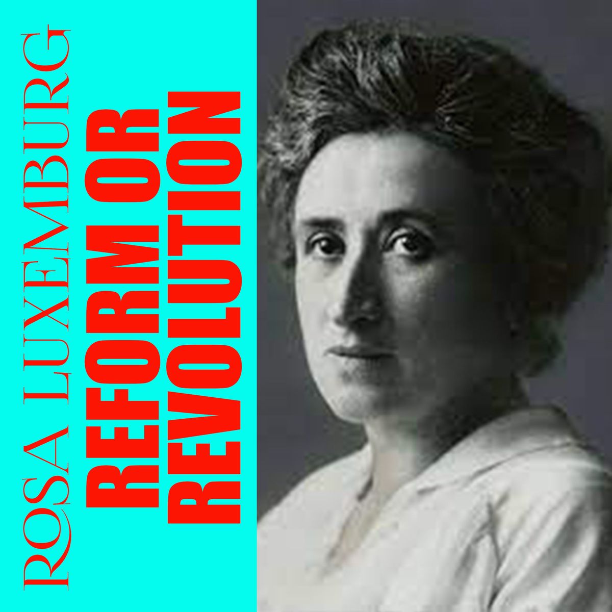 Reform or Revolution von Rosa Luxemburg - Hörbuch-Download | Thalia