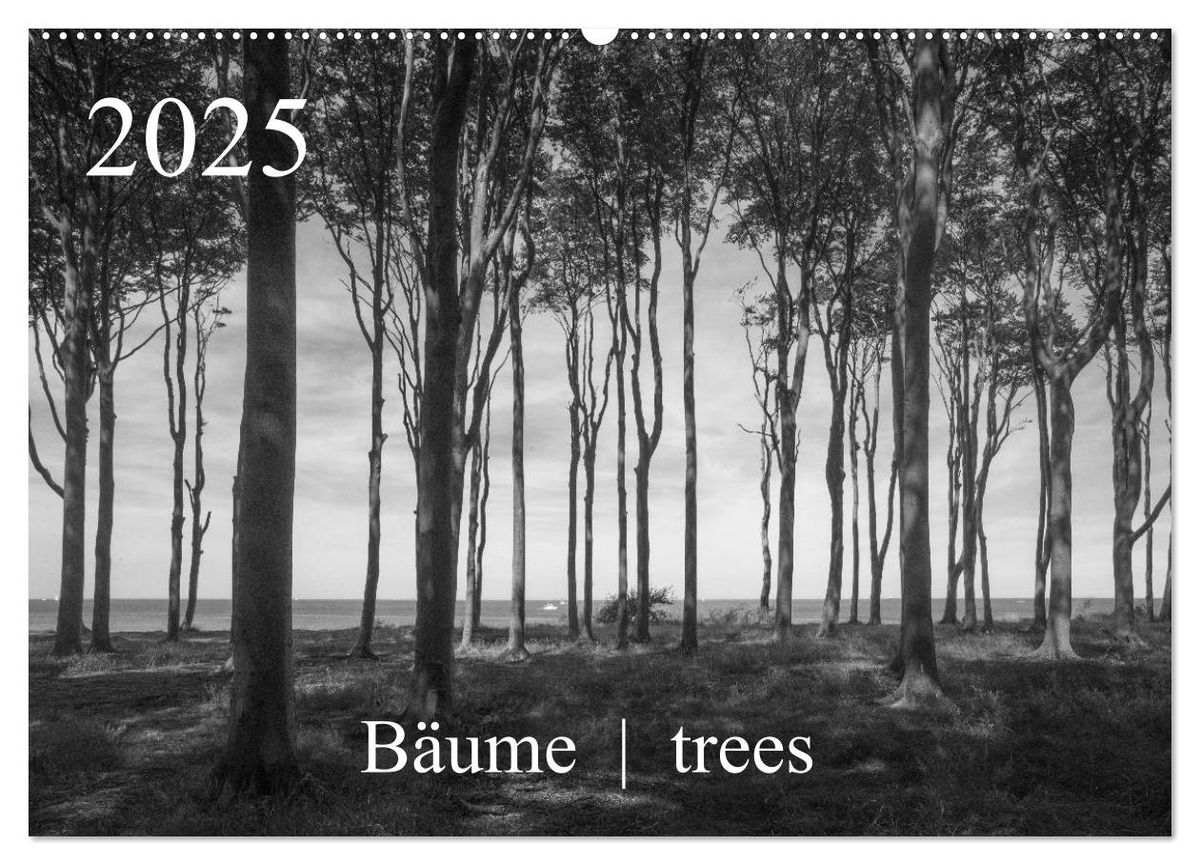'Bäume trees 2025 (Wandkalender 2025 DIN A2 quer), CALVENDO ...