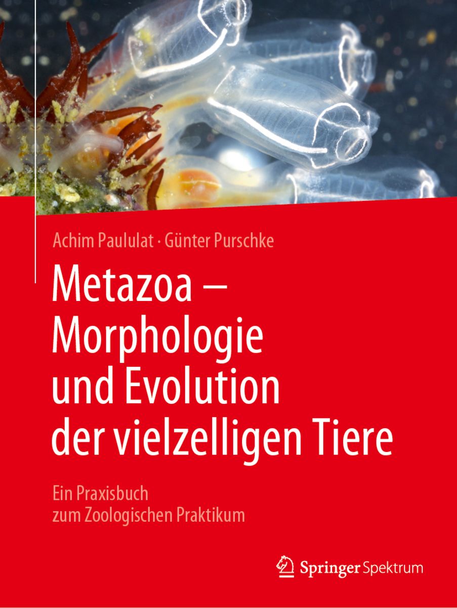 'Metazoa - Morphologie und Evolution der vielzelligen Tiere' von 'Achim Paululat' - Buch - '978 ...