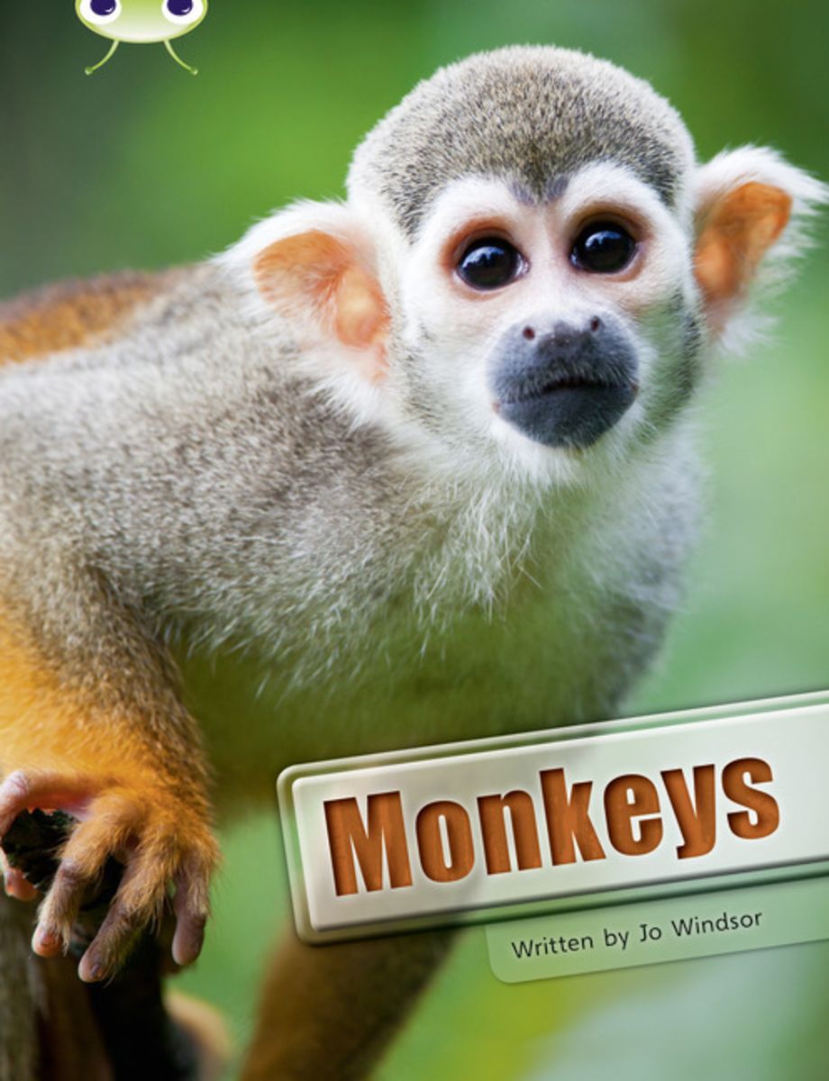 Bug Club Guided Non Fiction Year 3 White A Monkeys - Englische Bücher ...
