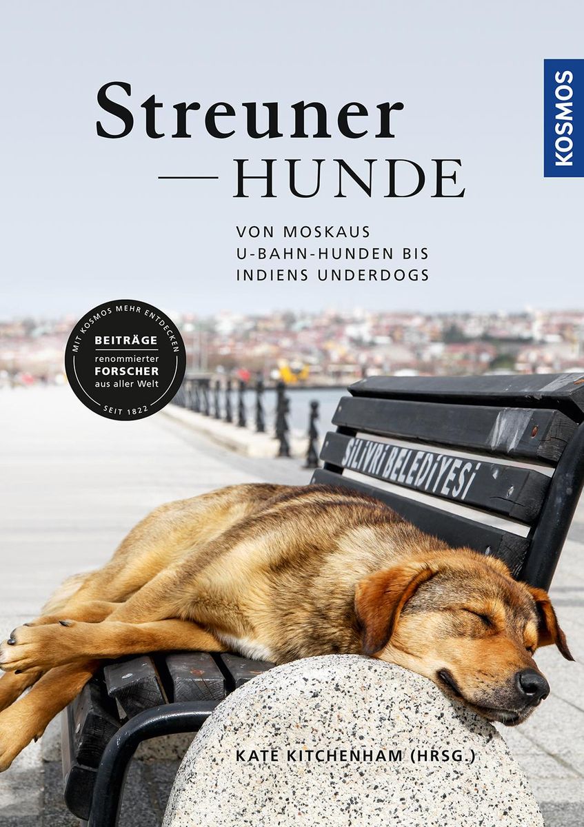 'Streunerhunde' von 'Kate Kitchenham' - Buch - '978-3-440-16003-9'