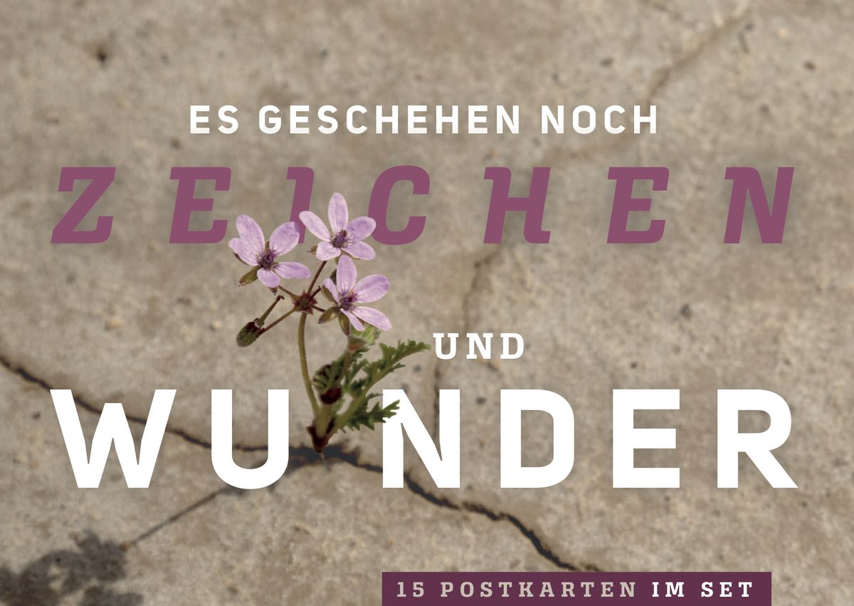 "Es geschehen noch Zeichen und Wunder" online kaufen