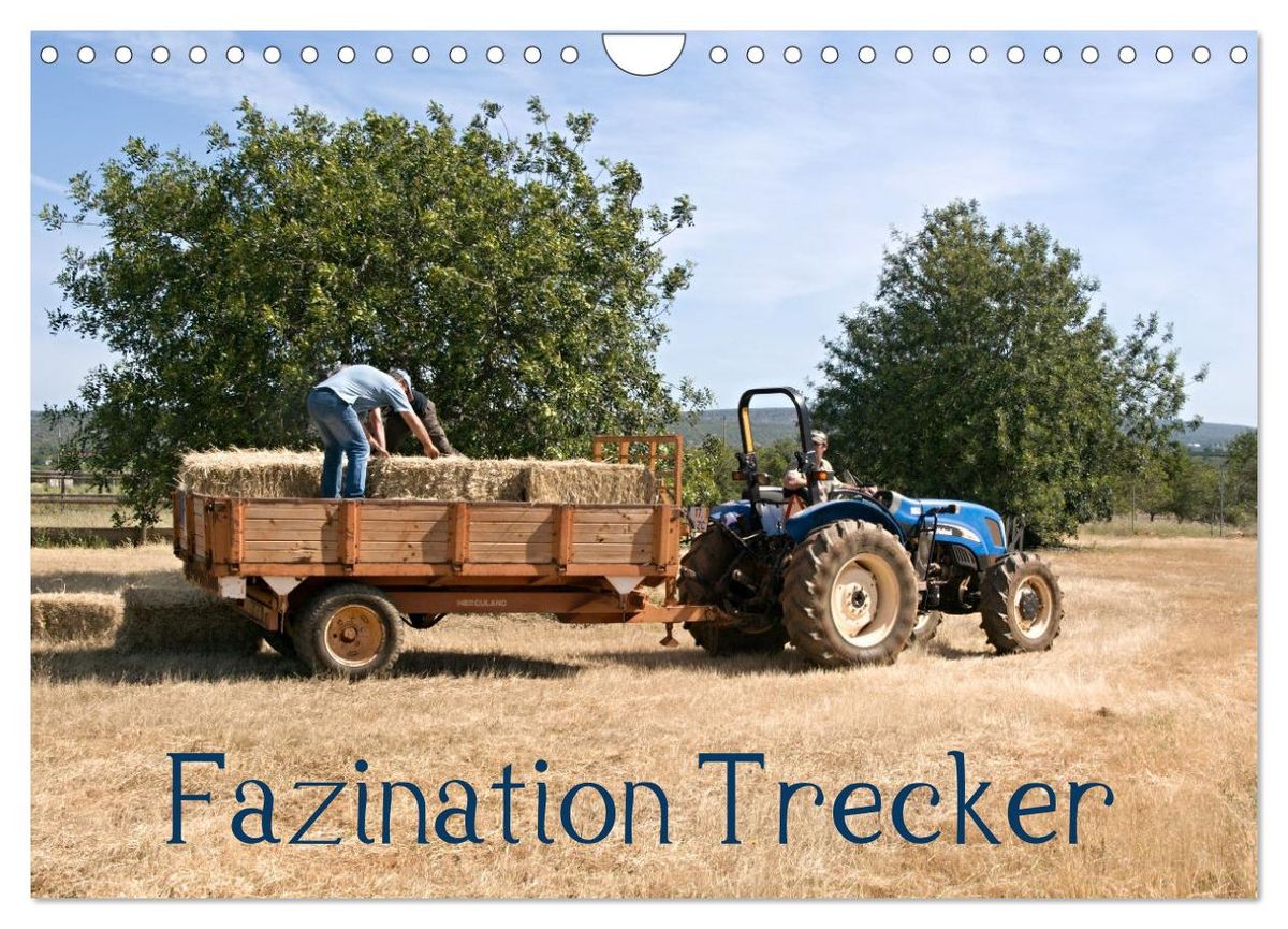 Traktoren - mein Kalender (CALVENDO Wandkalender 2026)