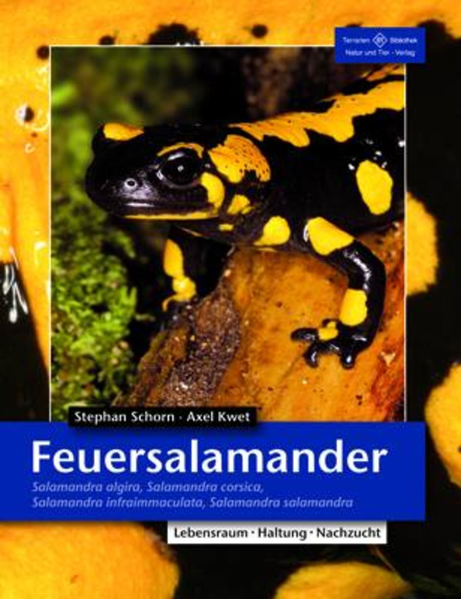 "Feuersalamander" online kaufen