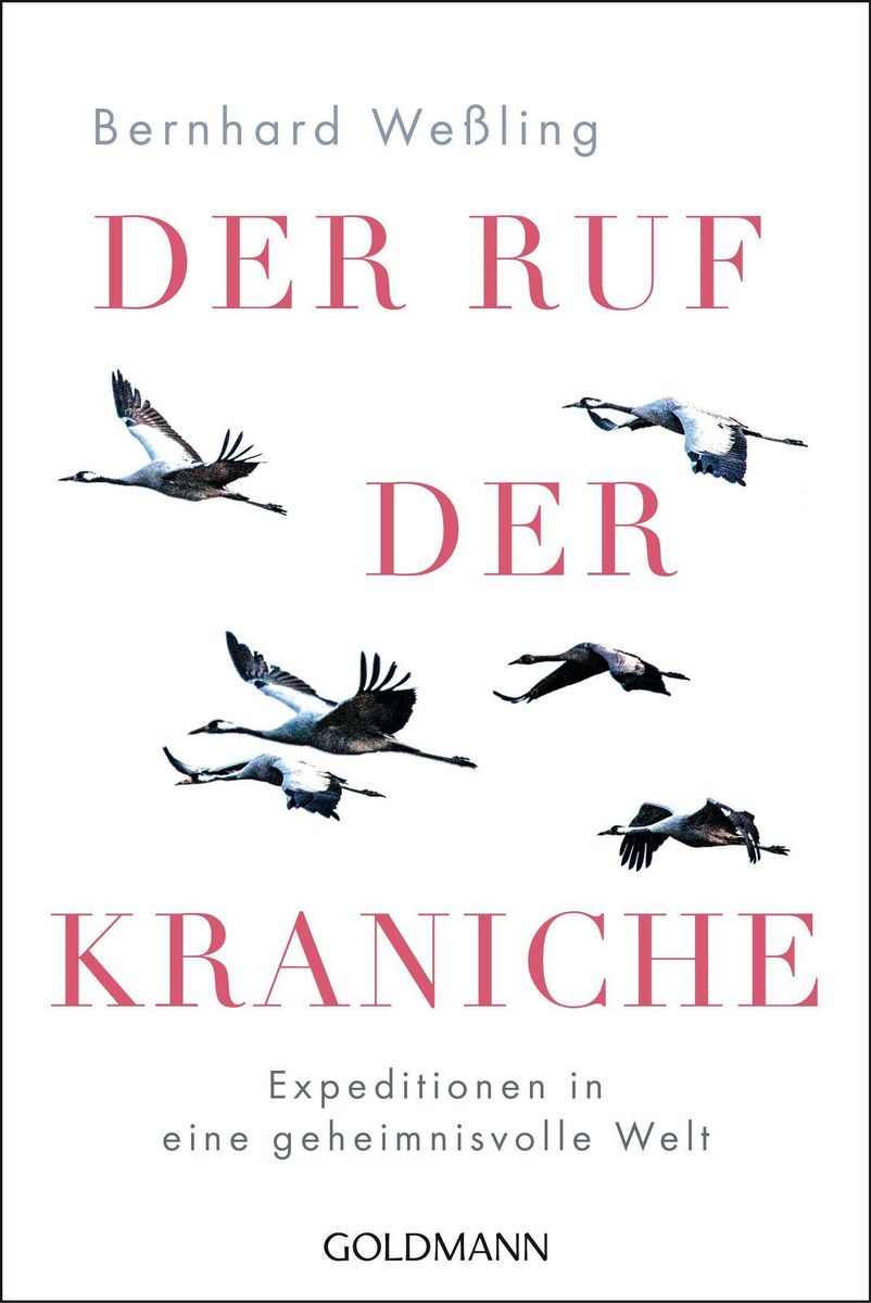 'Der Ruf der Kraniche' von 'Bernhard Wessling' - Buch - '978-3-442-14284-2'