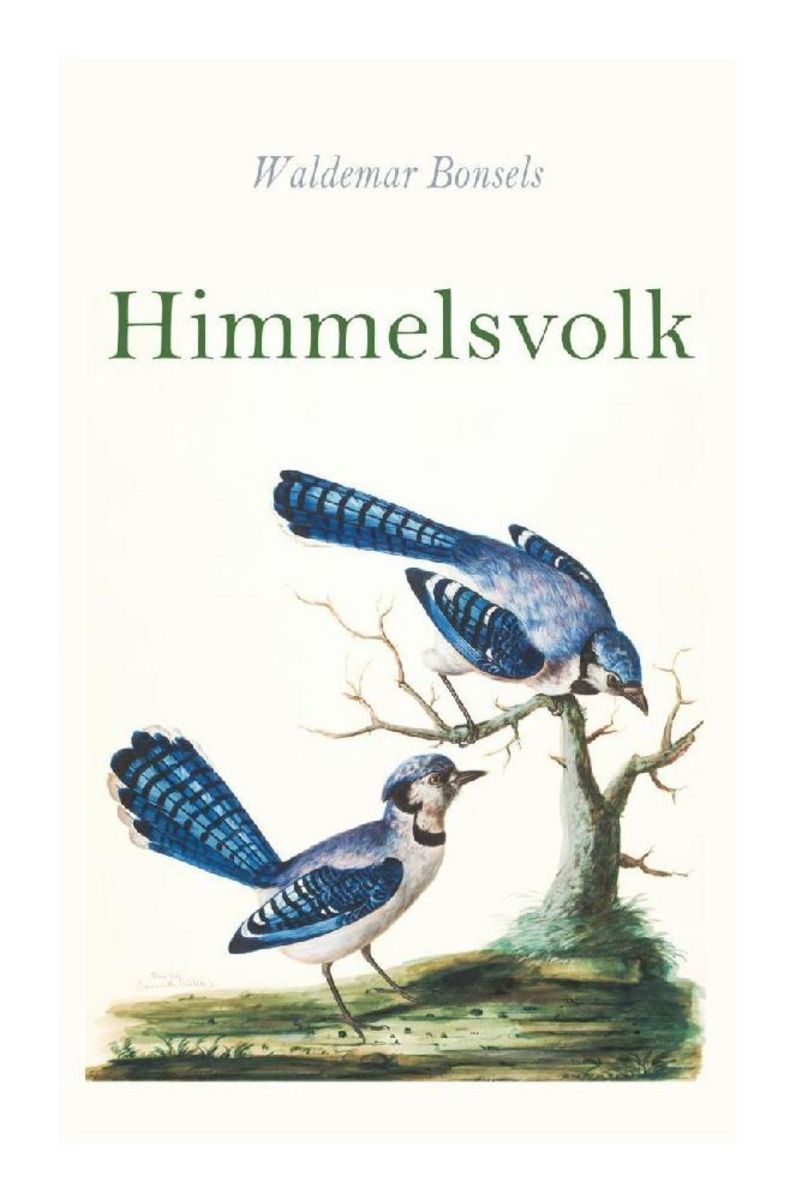 'Himmelsvolk' von 'Waldemar Bonsels' - Buch - '978-80-273-7473-1'