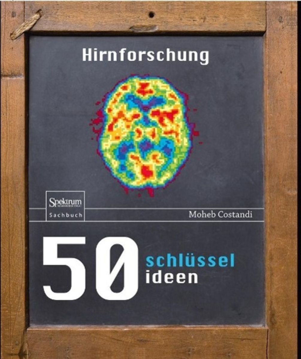 '50 Schlüsselideen Hirnforschung' von 'Moheb Costandi' - eBook