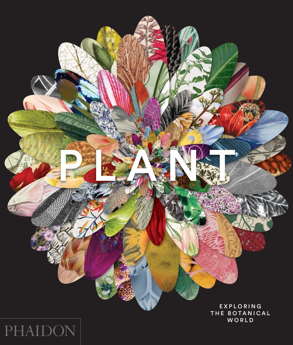 Plant: Exploring the Botanical World von Phaidon Editors - Gebundene ...
