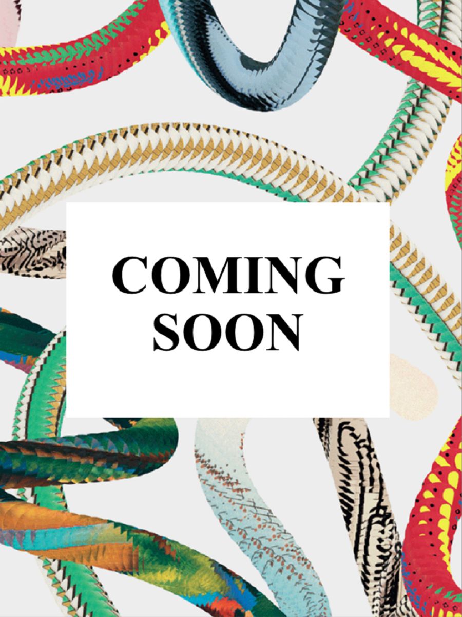 "Logo Beginnings. Logo Modernism. 45th Ed." online kaufen