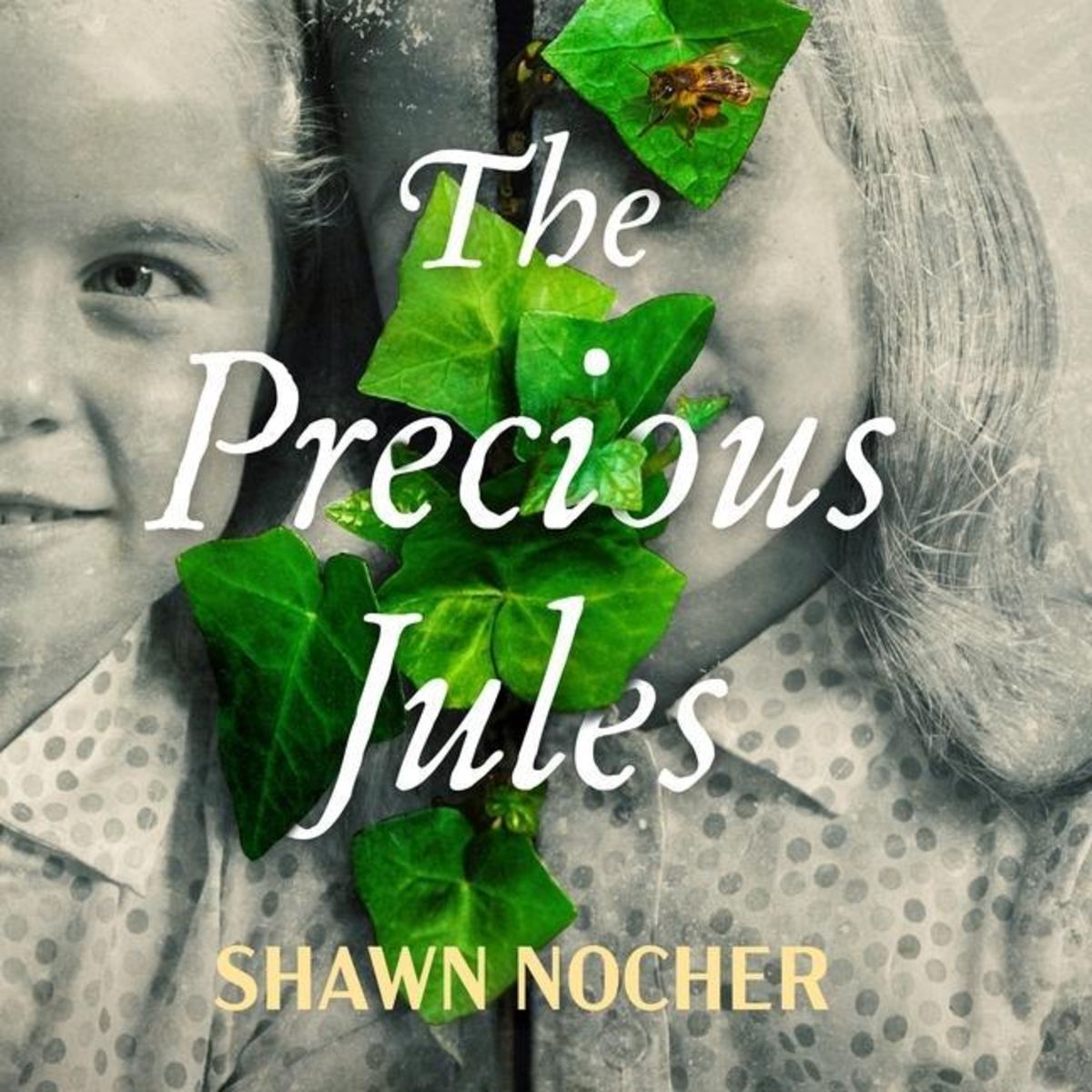 'The Precious Jules' von 'Shawn Nocher' - Hörbuch